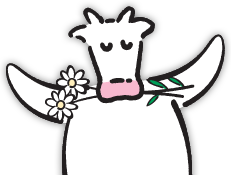 Organic – Shamrock Farms